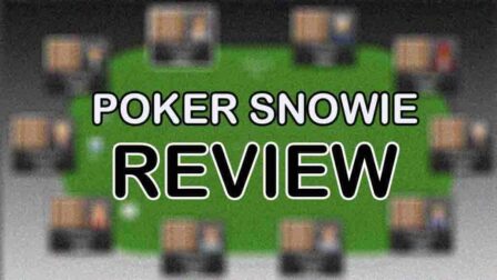 Poker Snowie Review - Are You Missing Something Valuable?