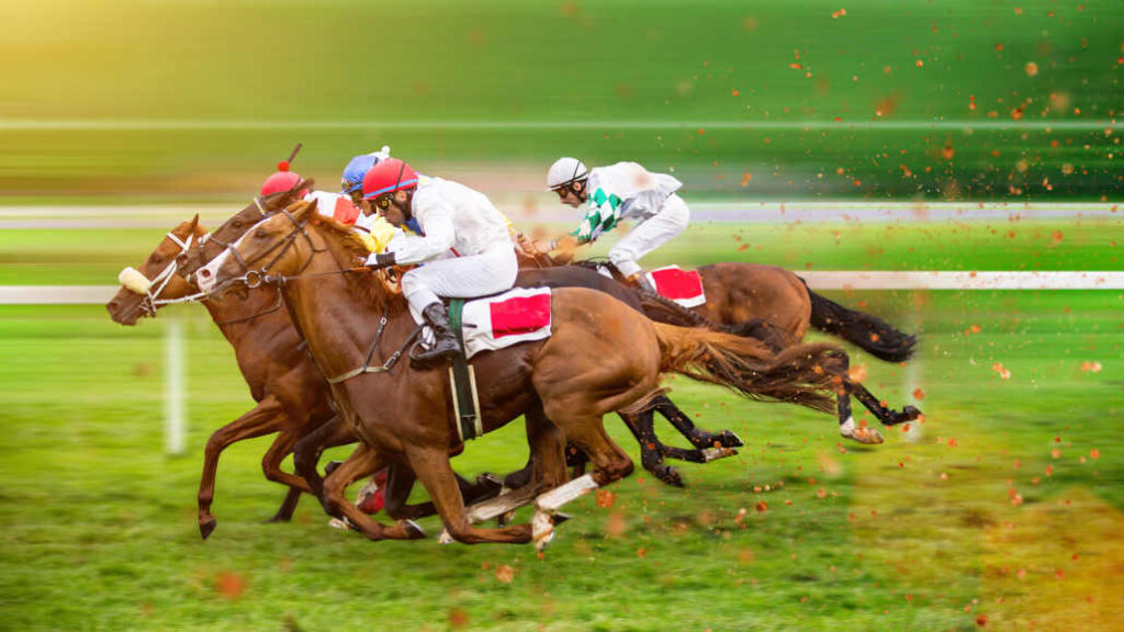 Trifecta Bet in Horse Racing - Understanding the Basics