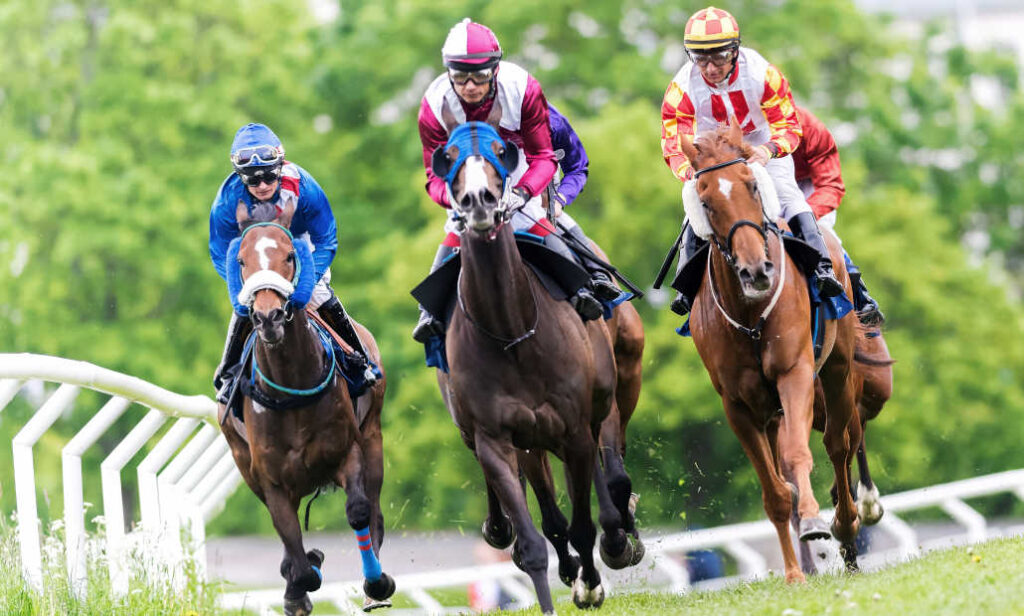 Exacta Bet in Horse Racing - Understanding the Basics