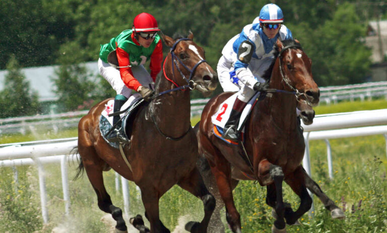 Daily Double Bet in Horse Racing - Understanding the Basics