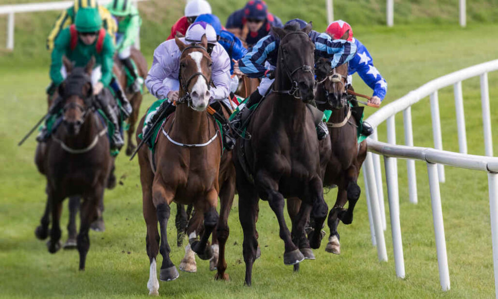 Superfecta Bet in Horse Racing - Understanding the Basics